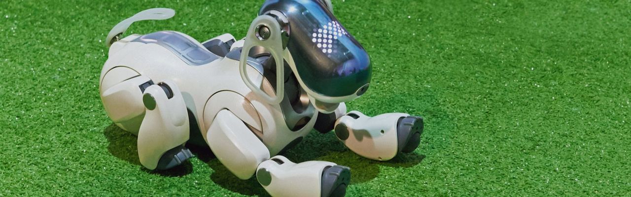 Entertainment Robots: Types & Uses